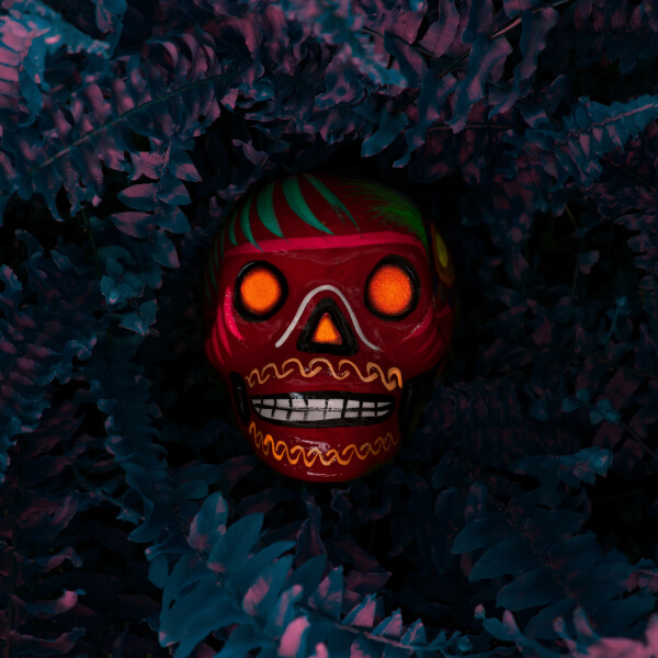 Nancydaytodaydiy – sdfsdfsdf